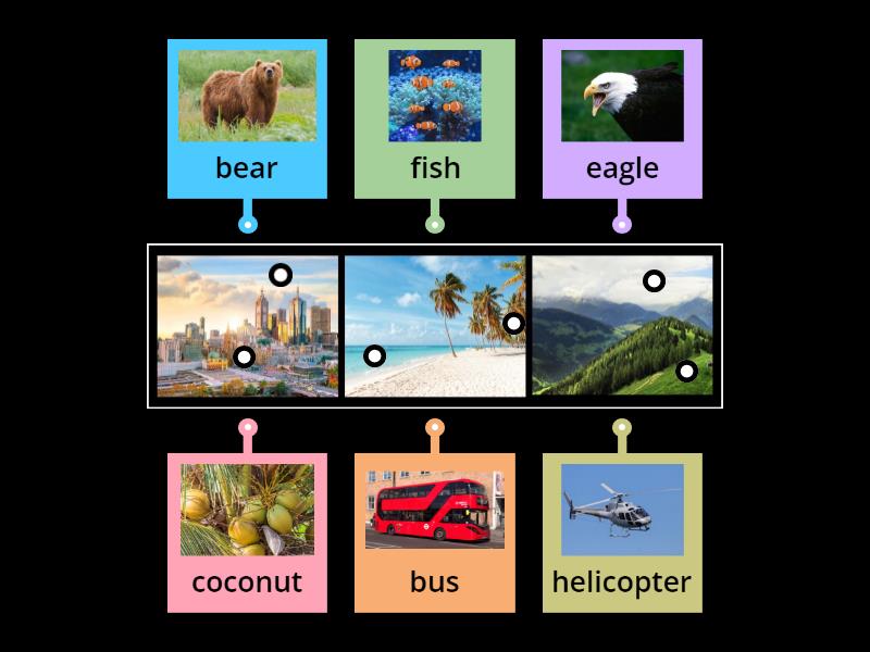 Setting - Labelled diagram