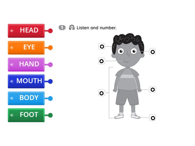 MY BODY - Labelled diagram