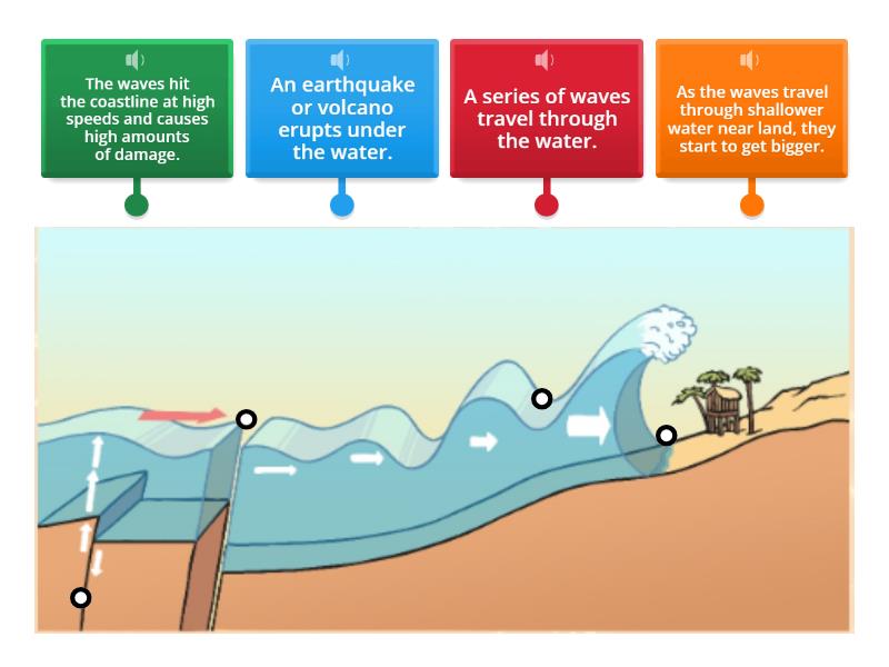 Tsunami Diagram. - Labelled diagram