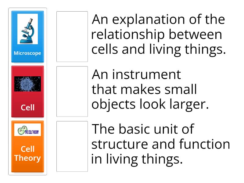 Structure and Function of Cells 1 - Permainan Pencocokan