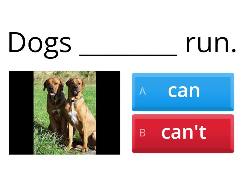 can/can't - Cuestionario