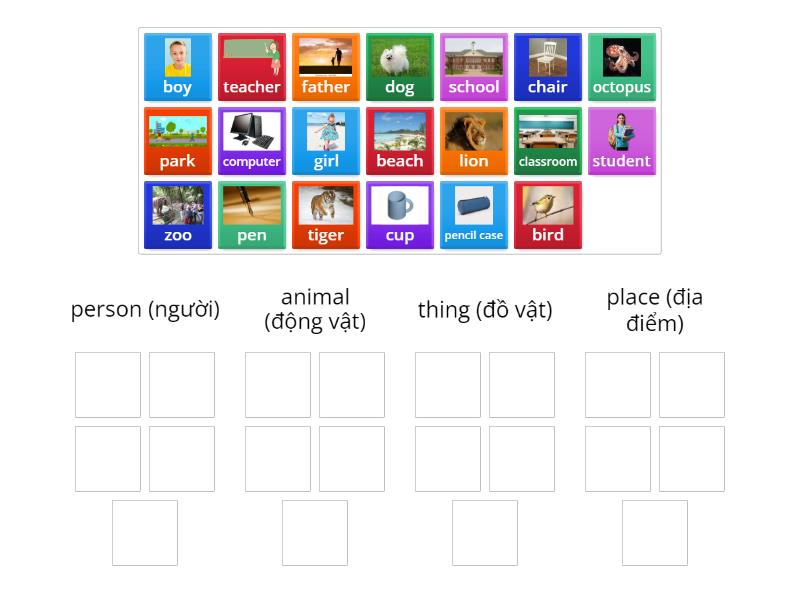 Person, animal, thing, place - Group sort