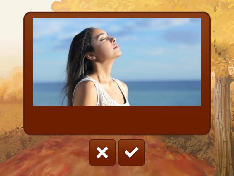 Collocations with HAVE, TAKE, BRING - Flash cards