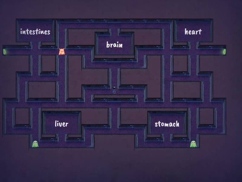 Internal Organs - English for Kids - Maze chase