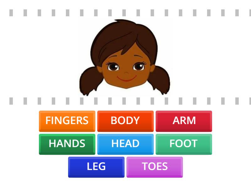 Body parts - Find the match