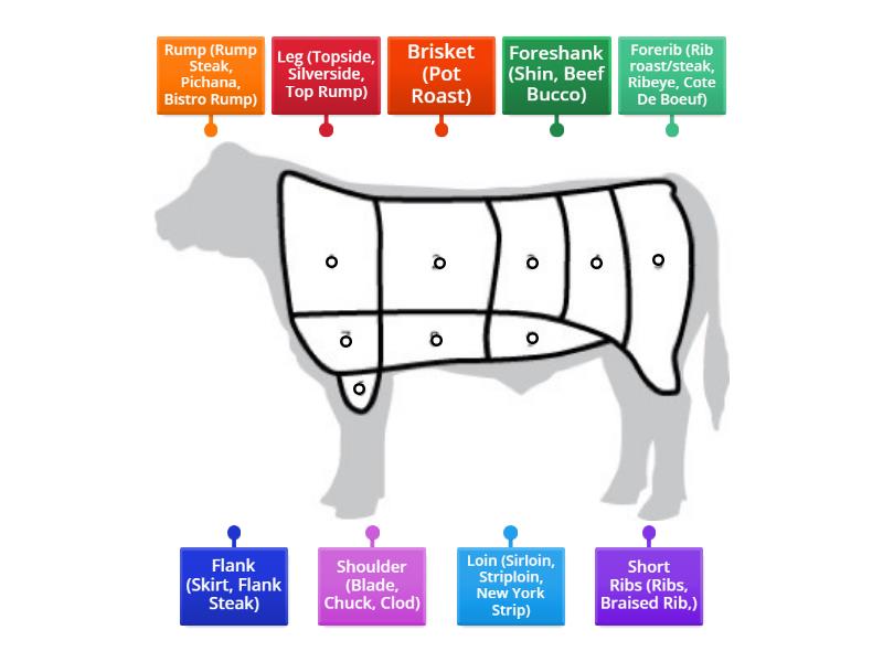 Beef Primal Locations - Labelled diagram