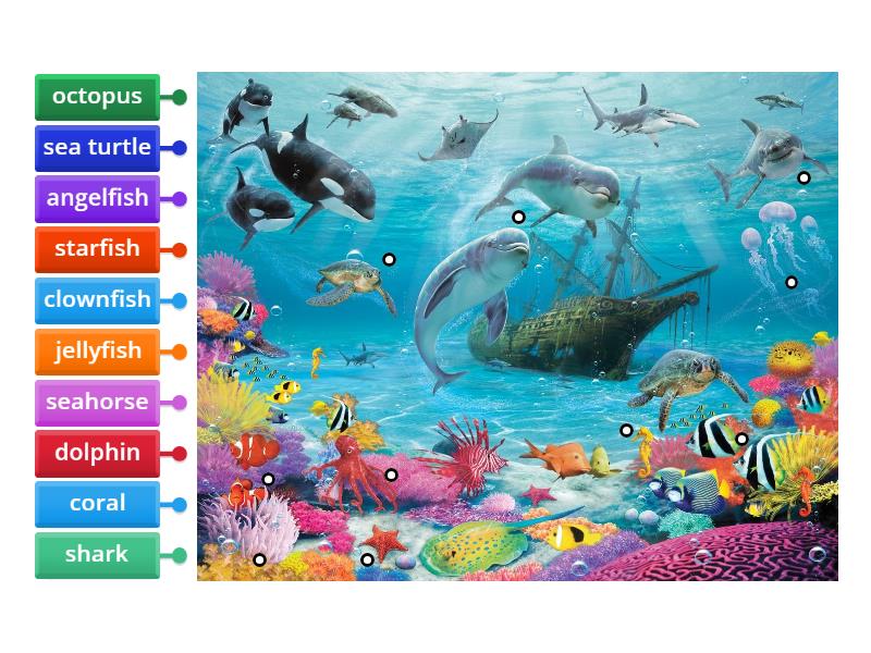 REVIEW UNIT 8: UNDER THE SEA - Labelled diagram