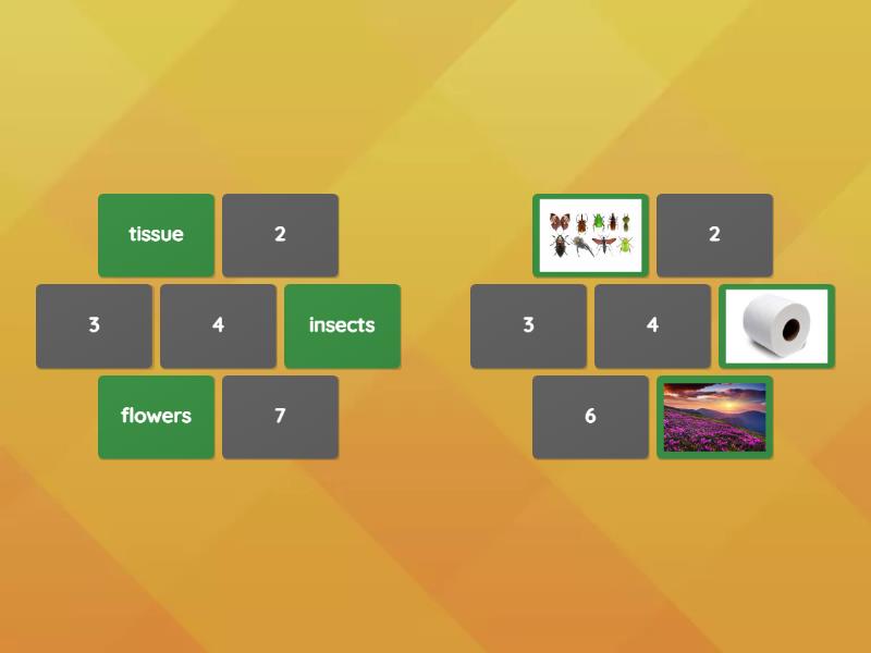 collage match - Matching pairs