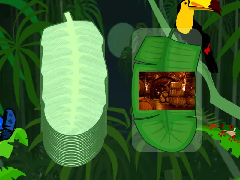 Sm1 unit 5 words - Speaking cards