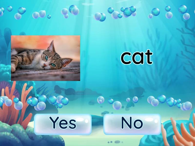 Pets - True or false