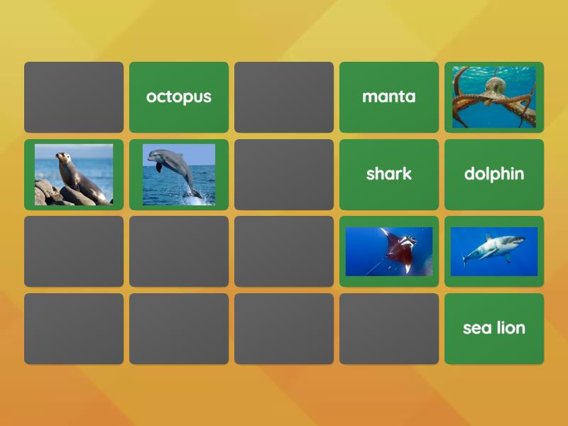 Sea Creatures - Matching pairs