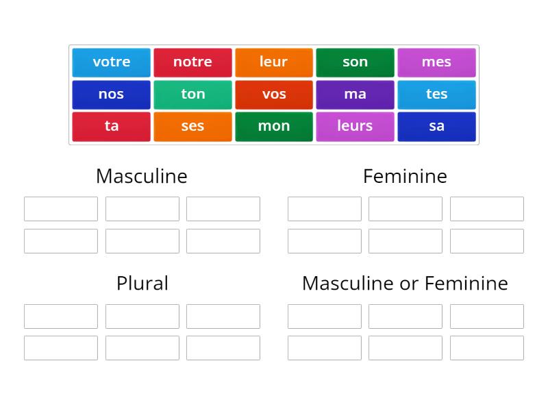 5A Possessive Adjectives: Level 2 - Group sort