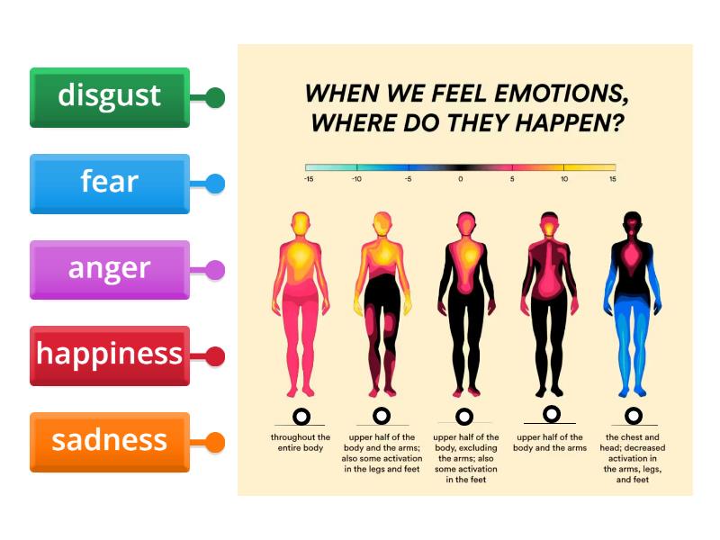 Where are the emotions? - Labelled diagram