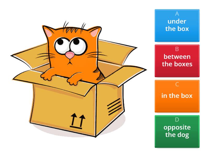 Spotlight 6 - Module 2b Prepositions of place - Quiz