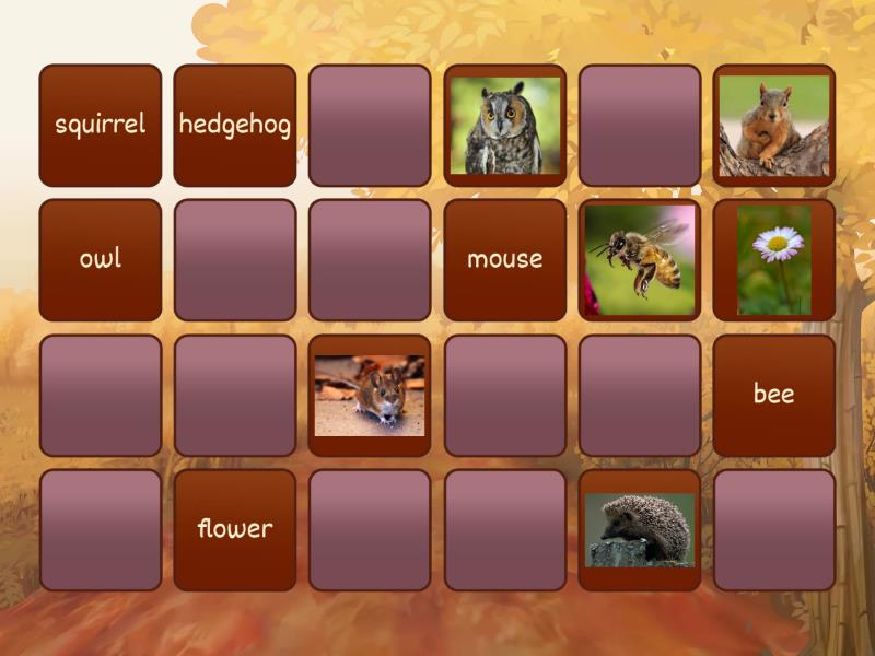 animals of the forest - Combine os pares