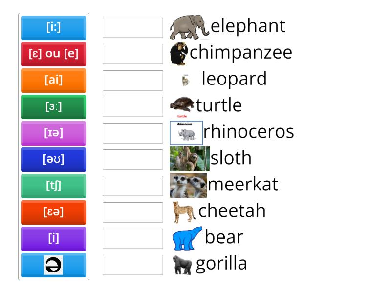 phonetics - animals - Match up