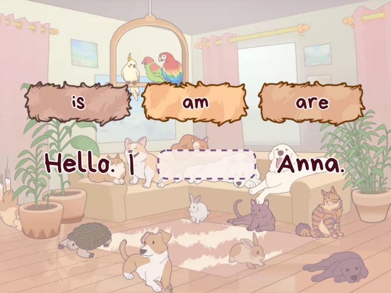 Have, has / am, is, are - Complete the sentence