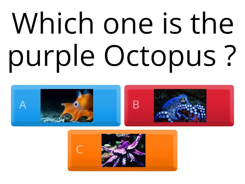 Under the sea - Quiz