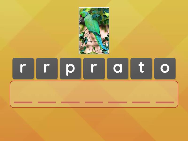 birds - Anagram