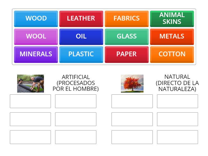 ARTIFICIAL OR NATURAL? - Group sort