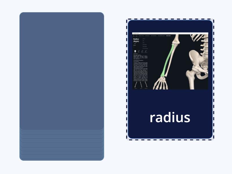 The Skeleton - Speaking cards