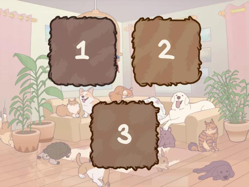 Select Your Game - Abrecajas