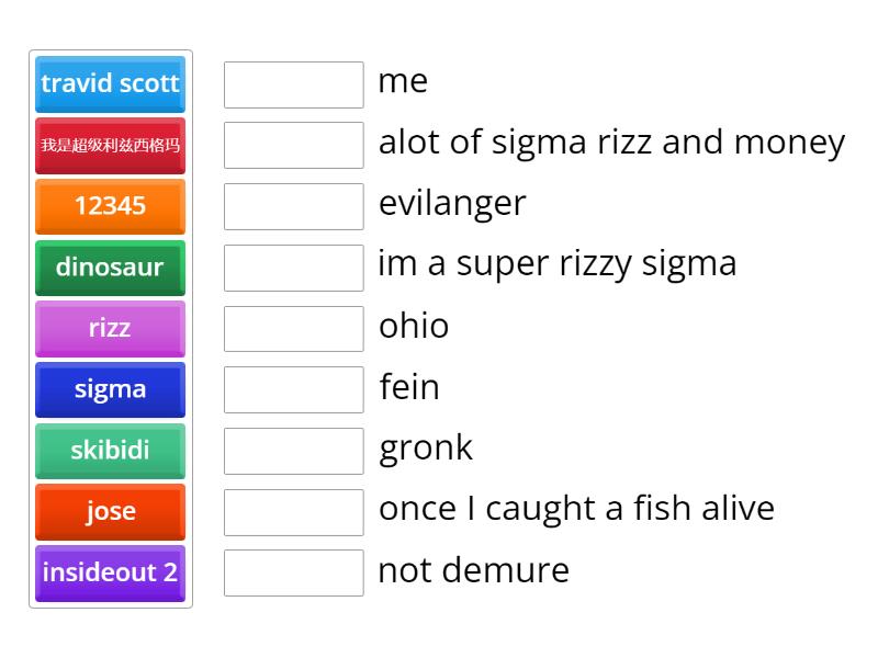 the sigma rizz brainrot wordwall - Match up