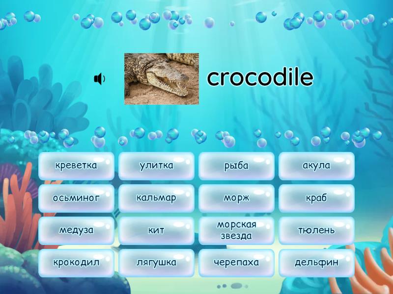 Sea creatures - Find the match