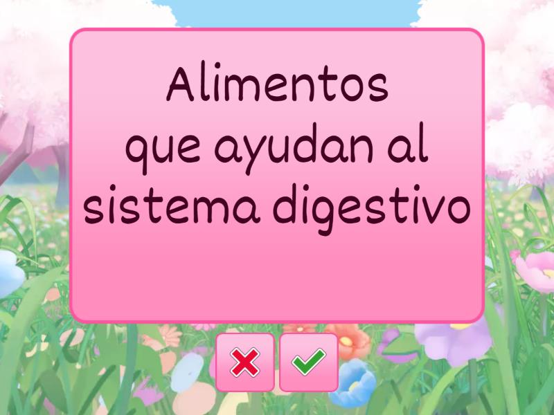 Sistema digestivo - Flash cards