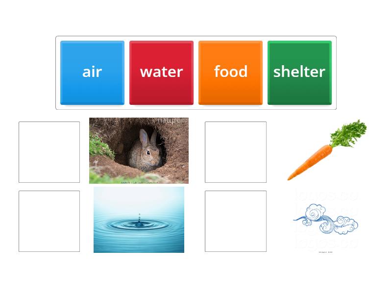 Animals` needs: Match the needs to the correct labels - Match up