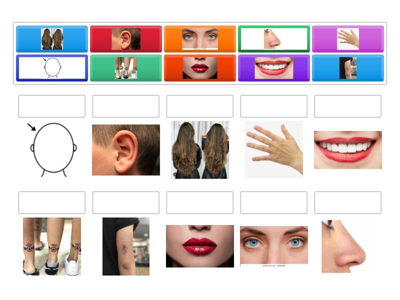 PARTS OF THE BODY - Match up