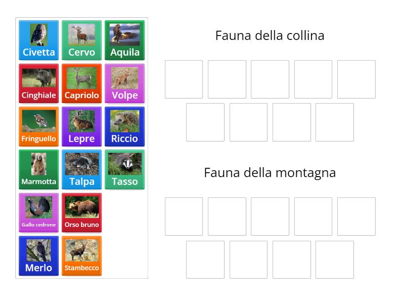 Fauna della collina e della montagna - Group sort