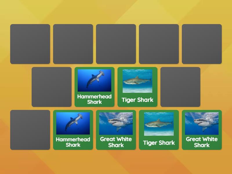 Sharks - Matching pairs