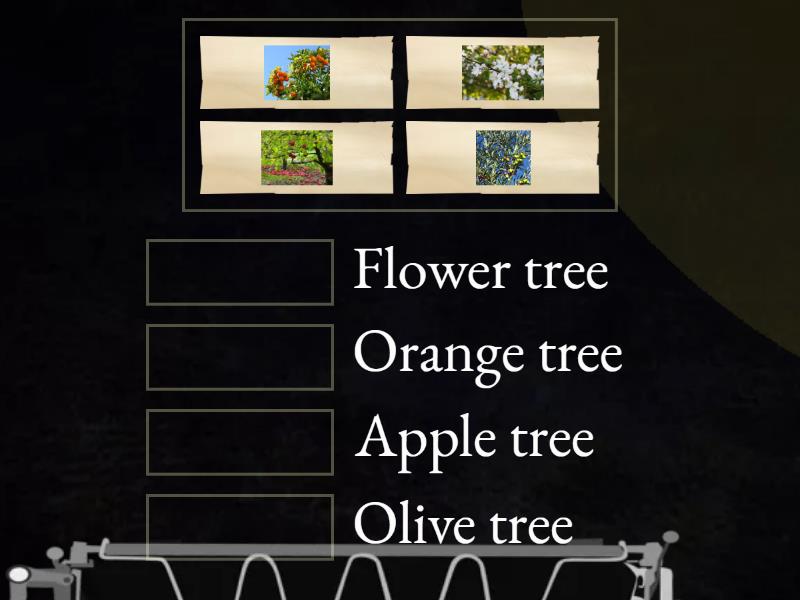 Types of tree: - Match up