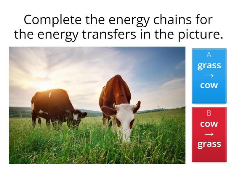 ENERGY (Lesson 2.2 Energy transfers - Quiz
