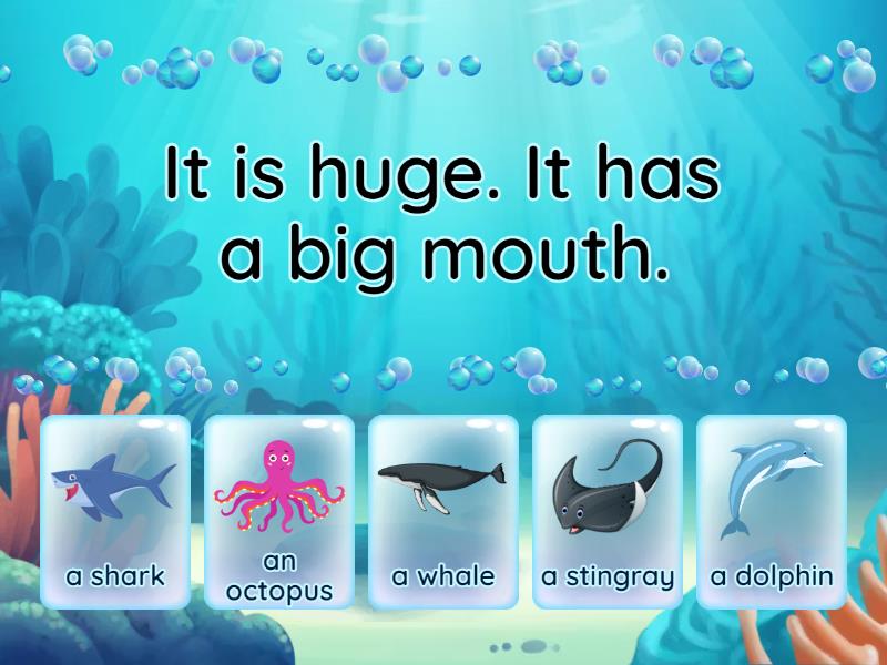 GESE Level 2 Lesson 10 Game 2 - Sea Animals (Find the match) - Cada ...