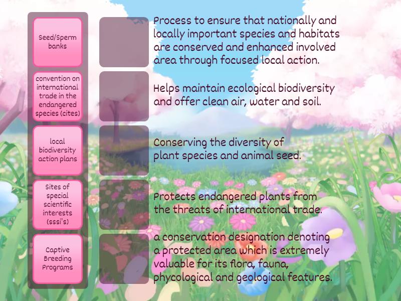 GCSE biology - Classification and Biodiversity- protecting spcies (WJEC ...