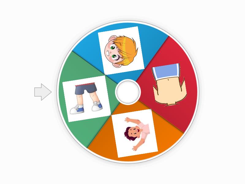 Partes Gruesas Del Cuerpo Spin The Wheel