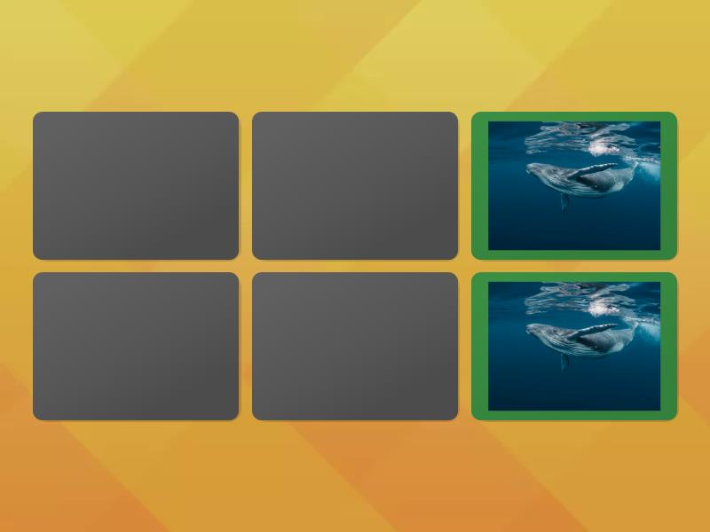 MEMORY - Matching pairs