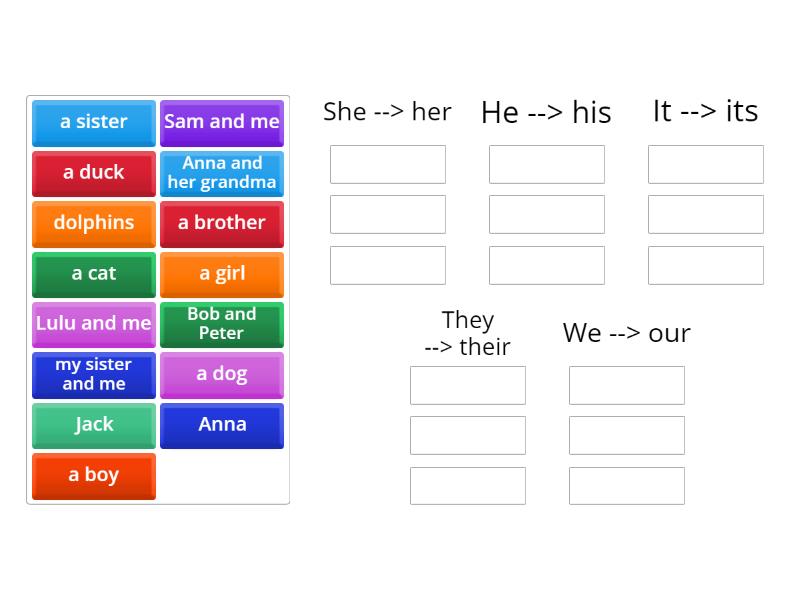 Possessive adjectives - Group sort