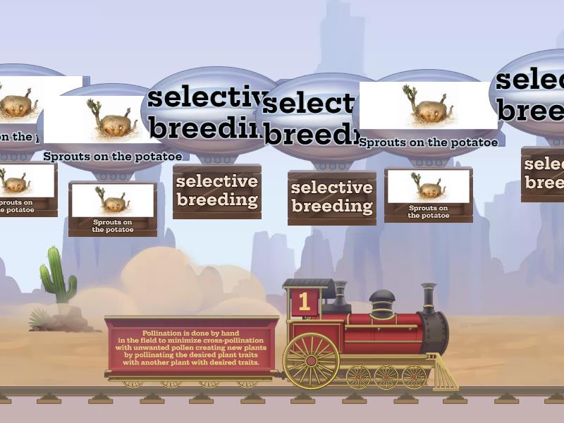 Asexual and sexual reproduction Train - Explotaglobos