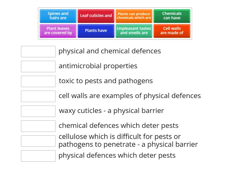 How plants protect themselves - Match up