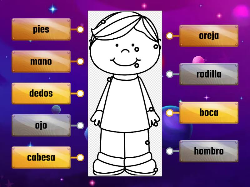 Spanish Parts of the body - Labelled diagram