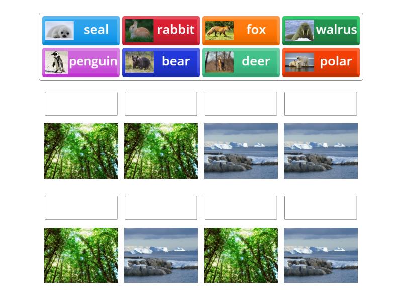 habitat - Match up