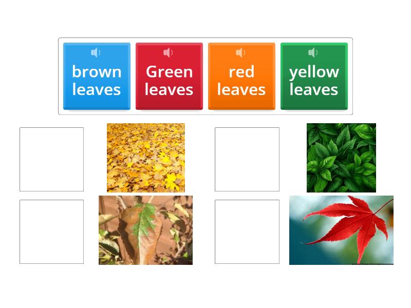 autumn leaves - Match up