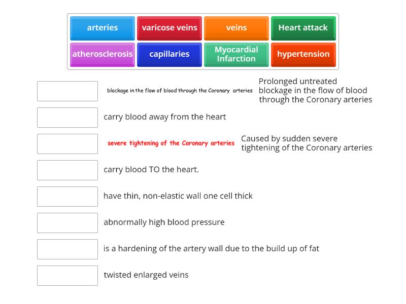 Blood Vessels Matching - Match up