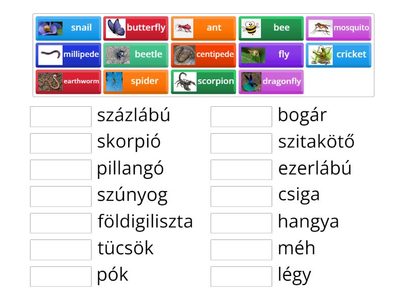 Project Explore 1, Unit 3/C - Match up