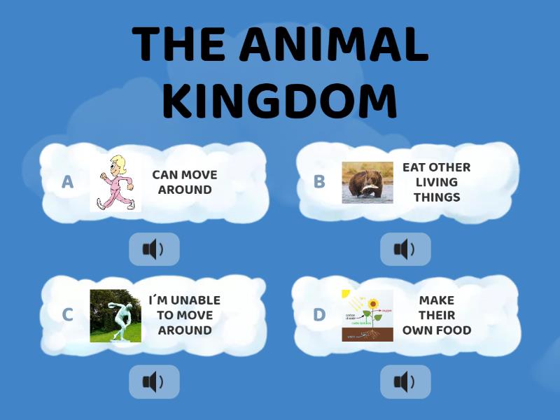 KINGDOMS - Quiz