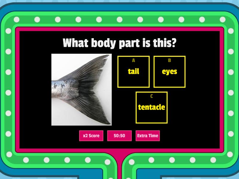 Body Parts of the Sea Animals - Gameshow quiz
