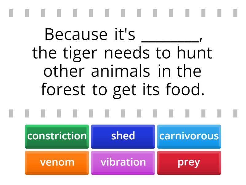 Snakes - Fill in the Blank - Find the match
